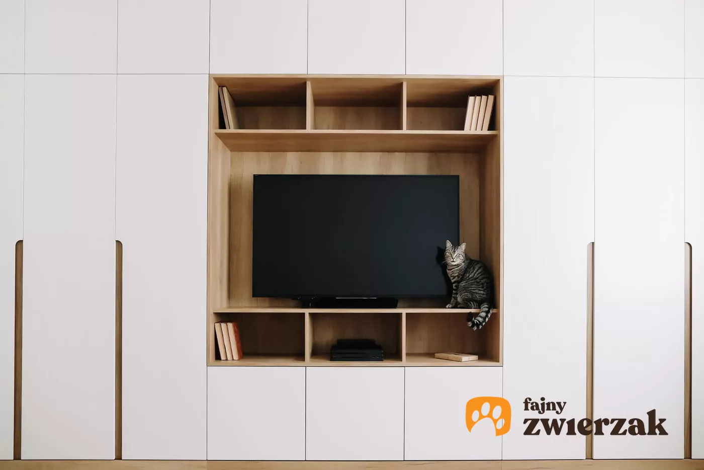 Wystarczy, że usiądziesz przed telewizorem. Wiele kotów reaguje ...