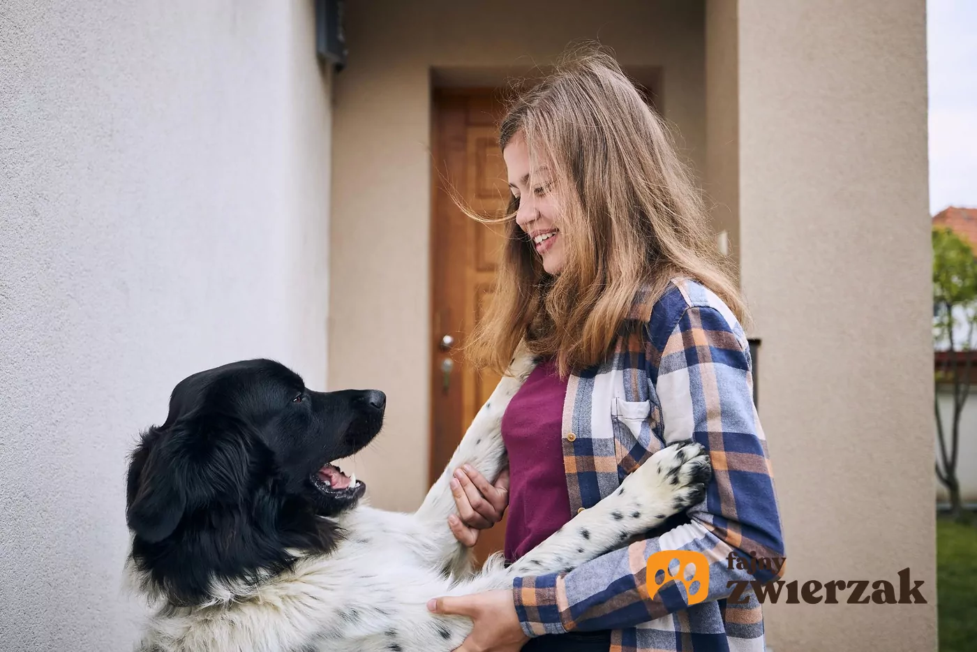 Niezwykła zapachowa „wizytówka”. Badacze odkryli, jak psy liczą czas do ...